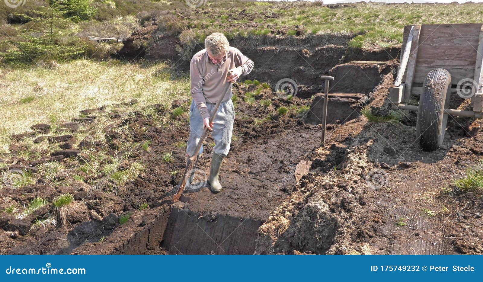 Cutting Turf Peat by Spade in Moss Bog in Ireland Stock Photo - Image ...