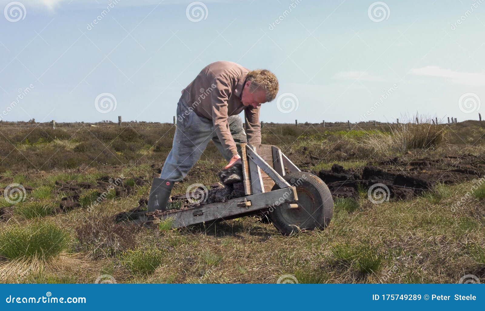Cutting Turf Peat by Spade in Moss Bog in Ireland Stock Image - Image ...