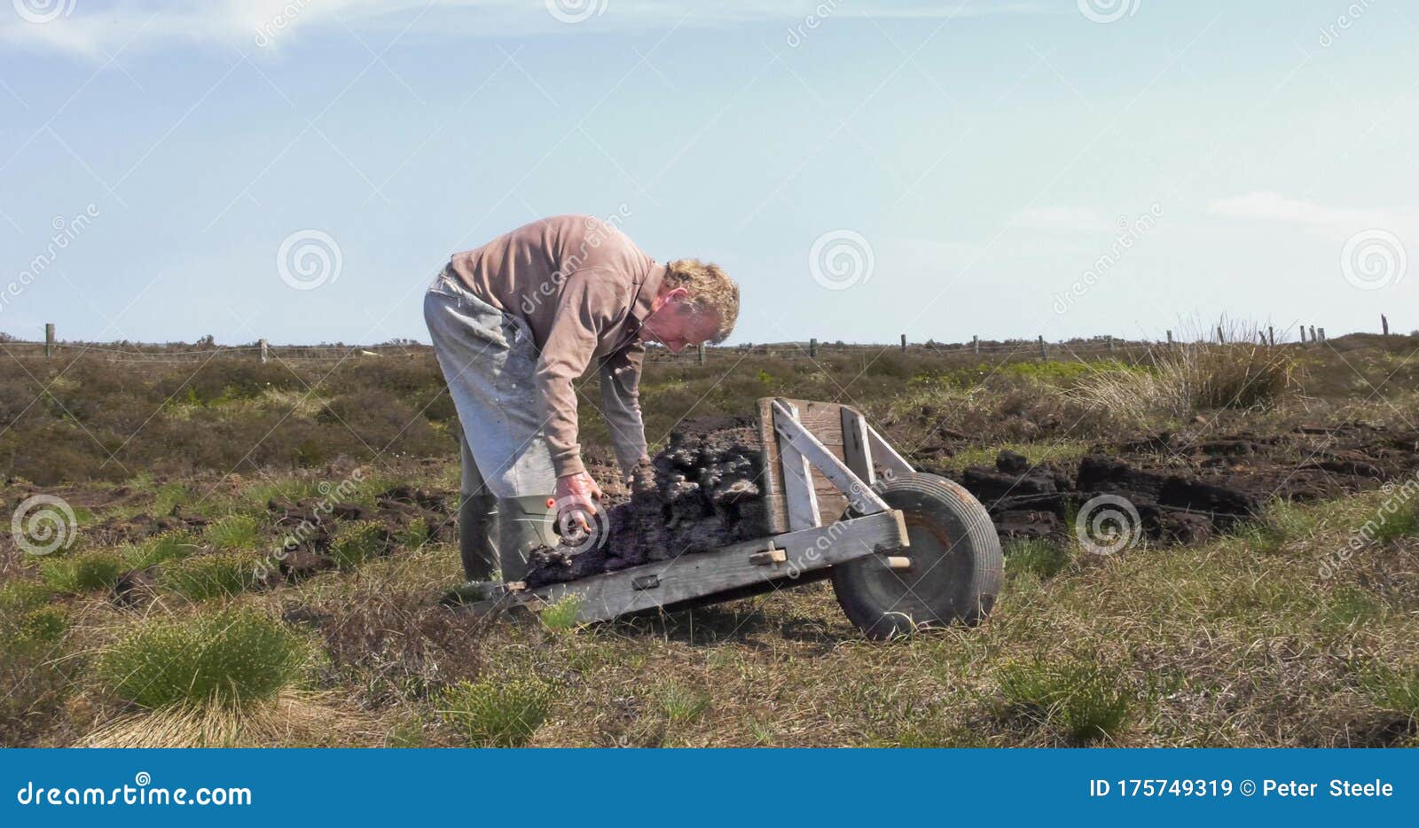 Cutting Turf Peat by Spade in Moss Bog in Ireland Stock Image - Image ...
