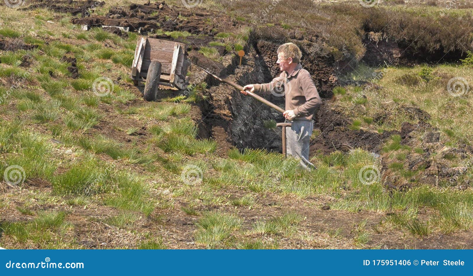 Cutting Turf Peat by Spade in Moss Bog in Ireland Stock Photo - Image ...