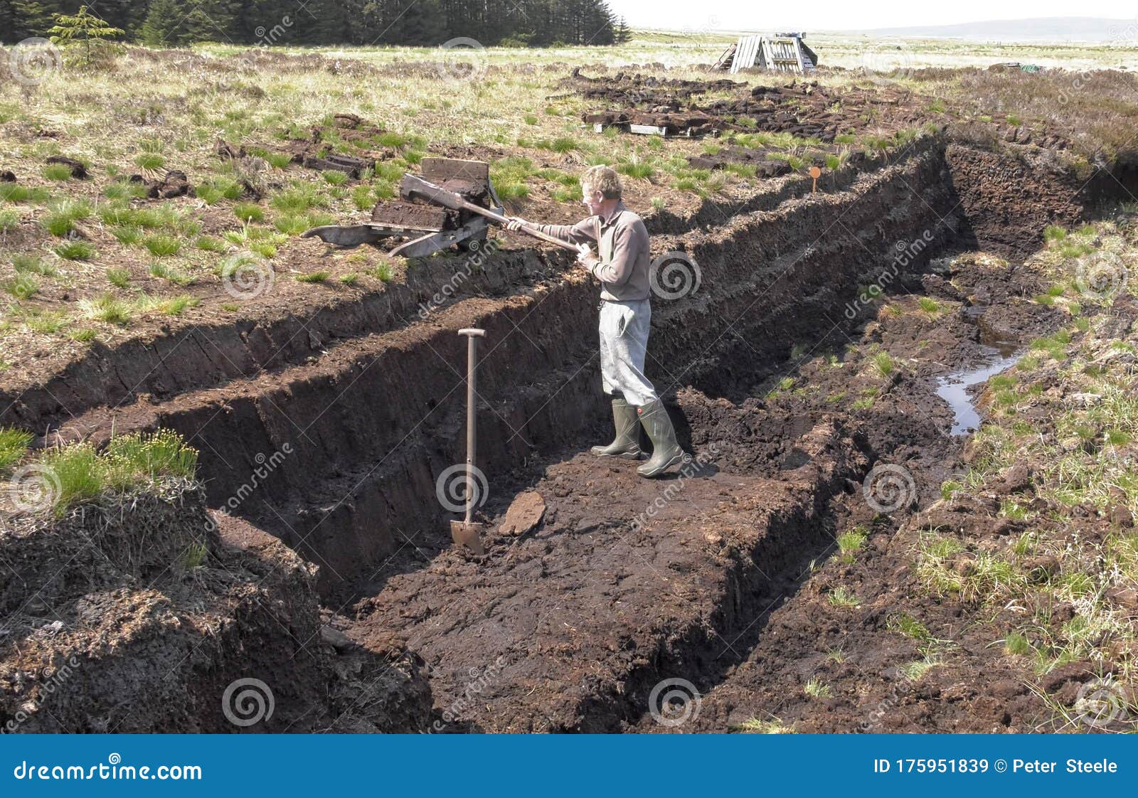 Cutting Turf Peat by Spade in Moss Bog in Ireland Stock Image - Image ...