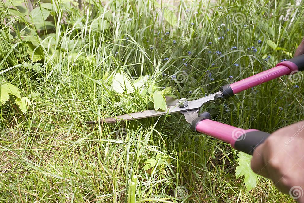 Cutting weeds stock image. Image of garden, weeds, blade - 9487535