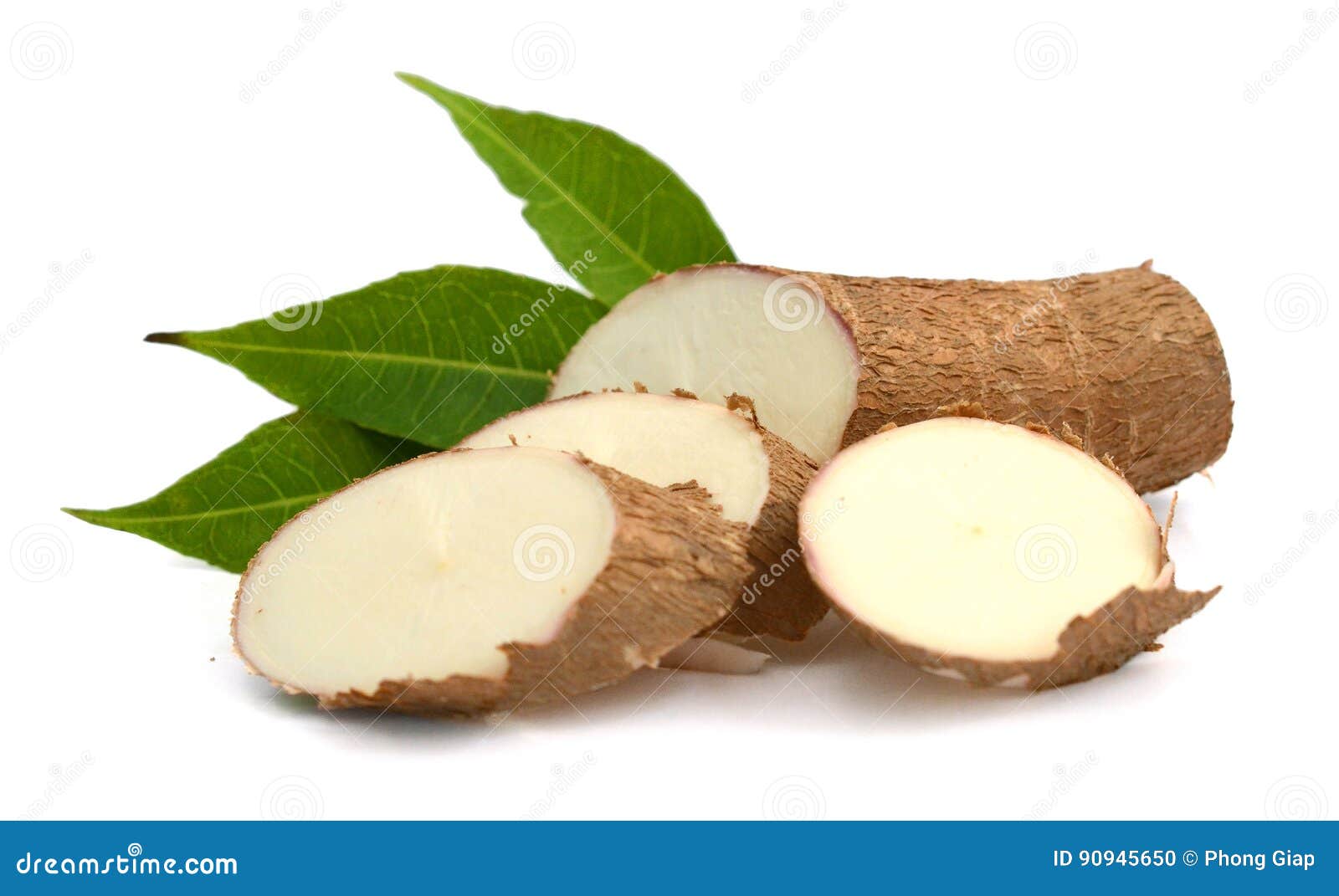 Cutting and whole manioc stock photo. Image of shell - 90945650