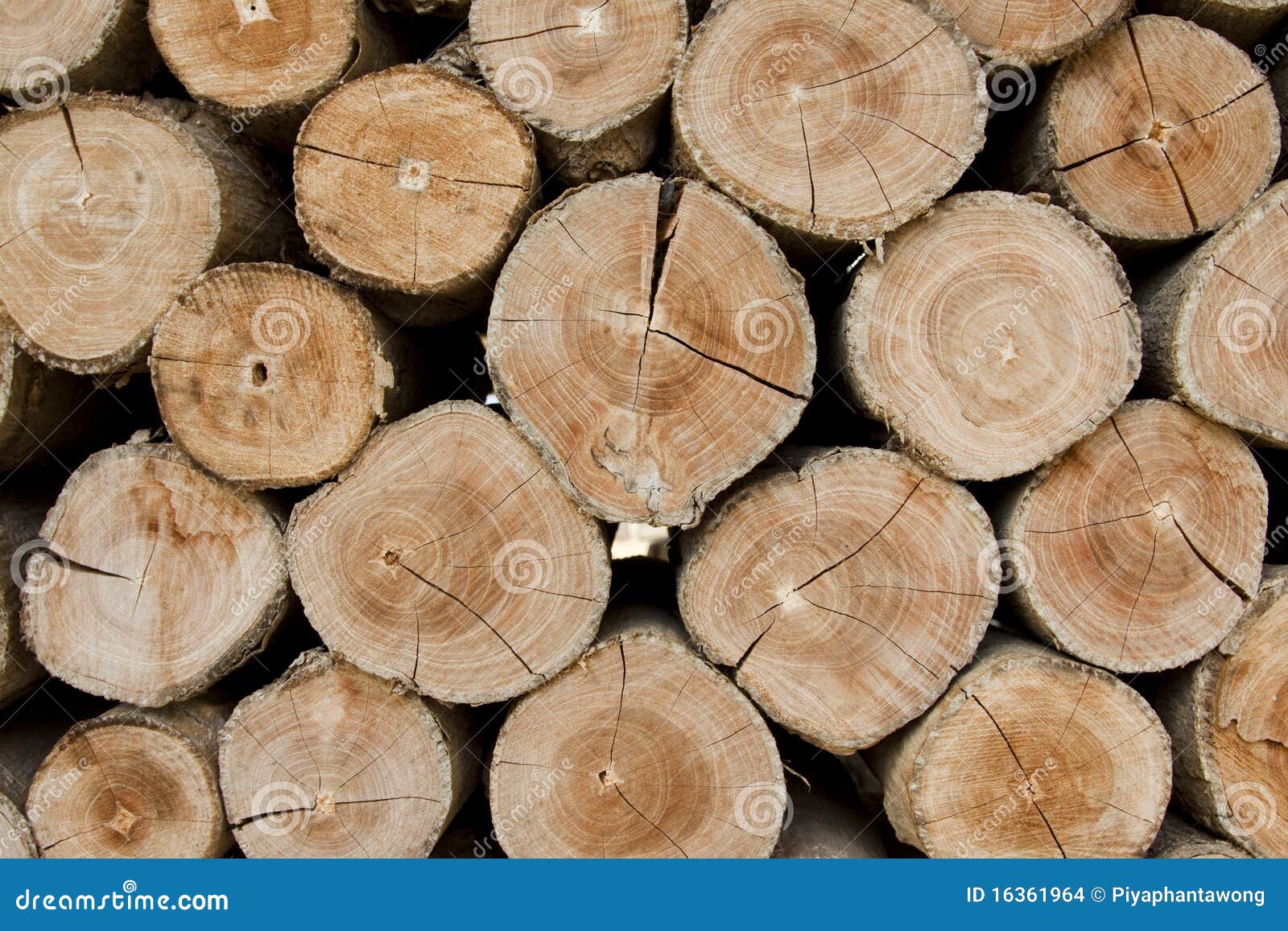 Cutting wood stock photo. Image of rural, forest, industry - 16361964