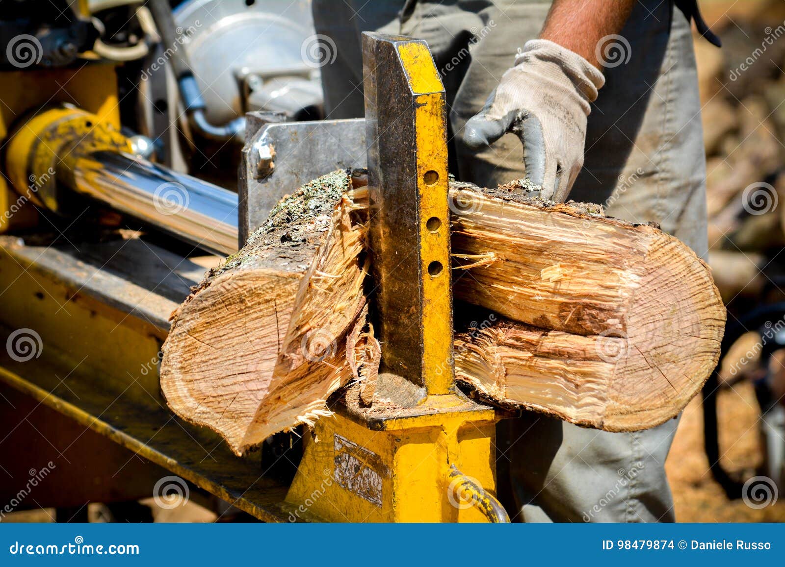 Cutting woods in logs stock photo. Image of outdoor, forester - 98479874