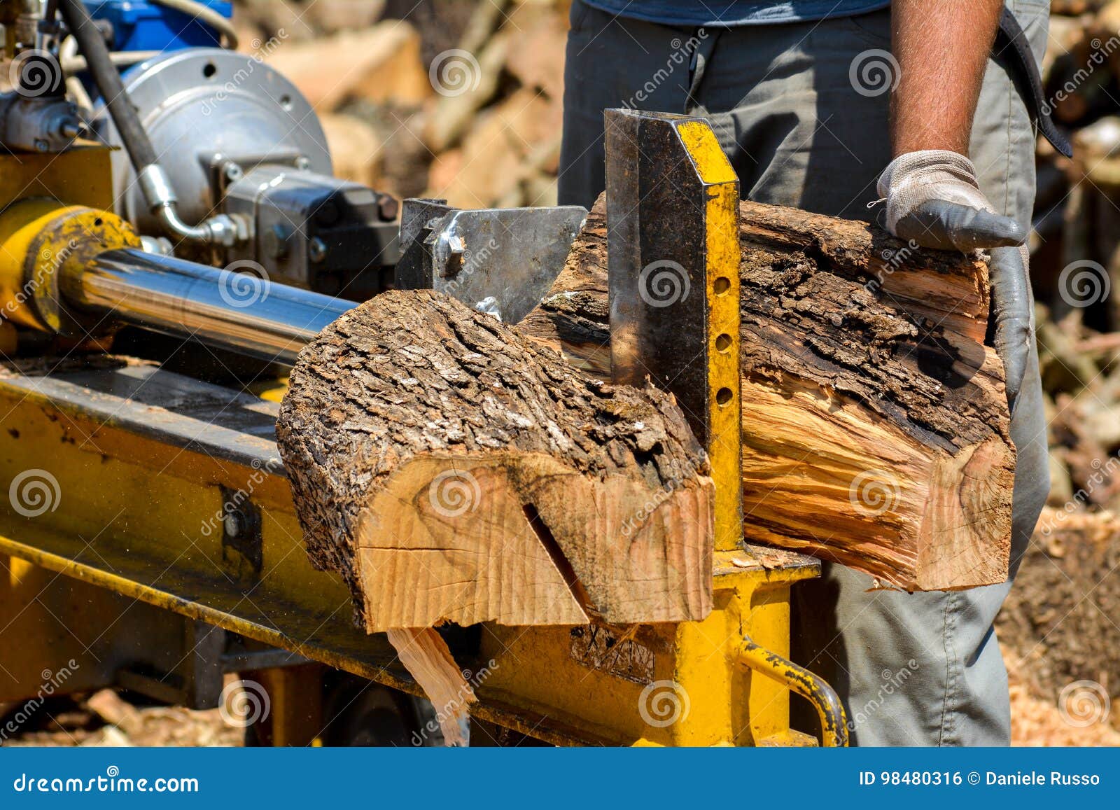 Cutting woods in logs stock photo. Image of professional - 98480316