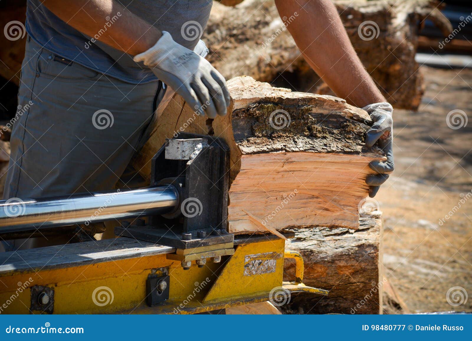 Cutting woods in logs stock image. Image of industry - 98480777