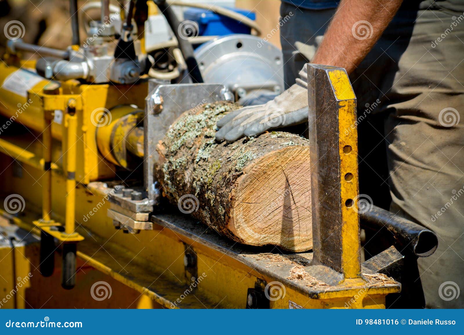 Cutting woods in logs stock photo. Image of equipment - 98481016