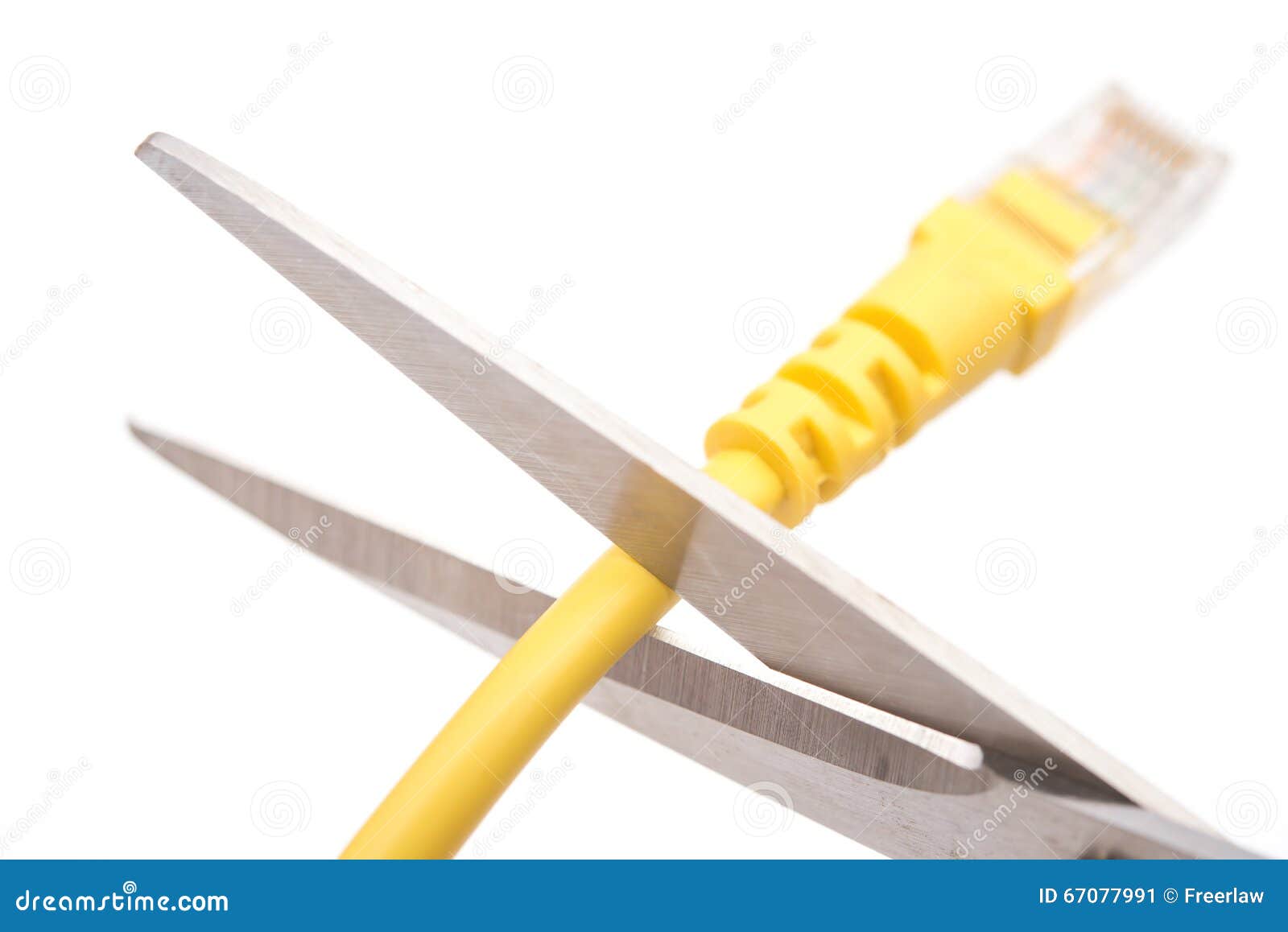 Cutting a Yellow Network Cable with Scissors Stock Image - Image of ...