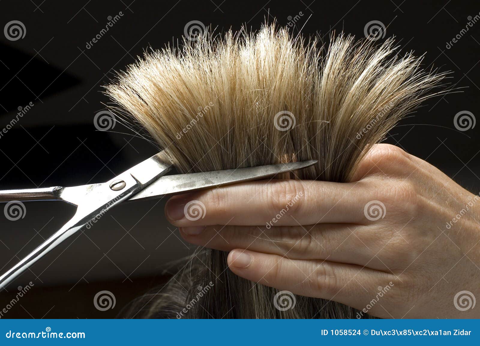 Cuttinghair stock photo. Image of shampoo, professional - 1058524