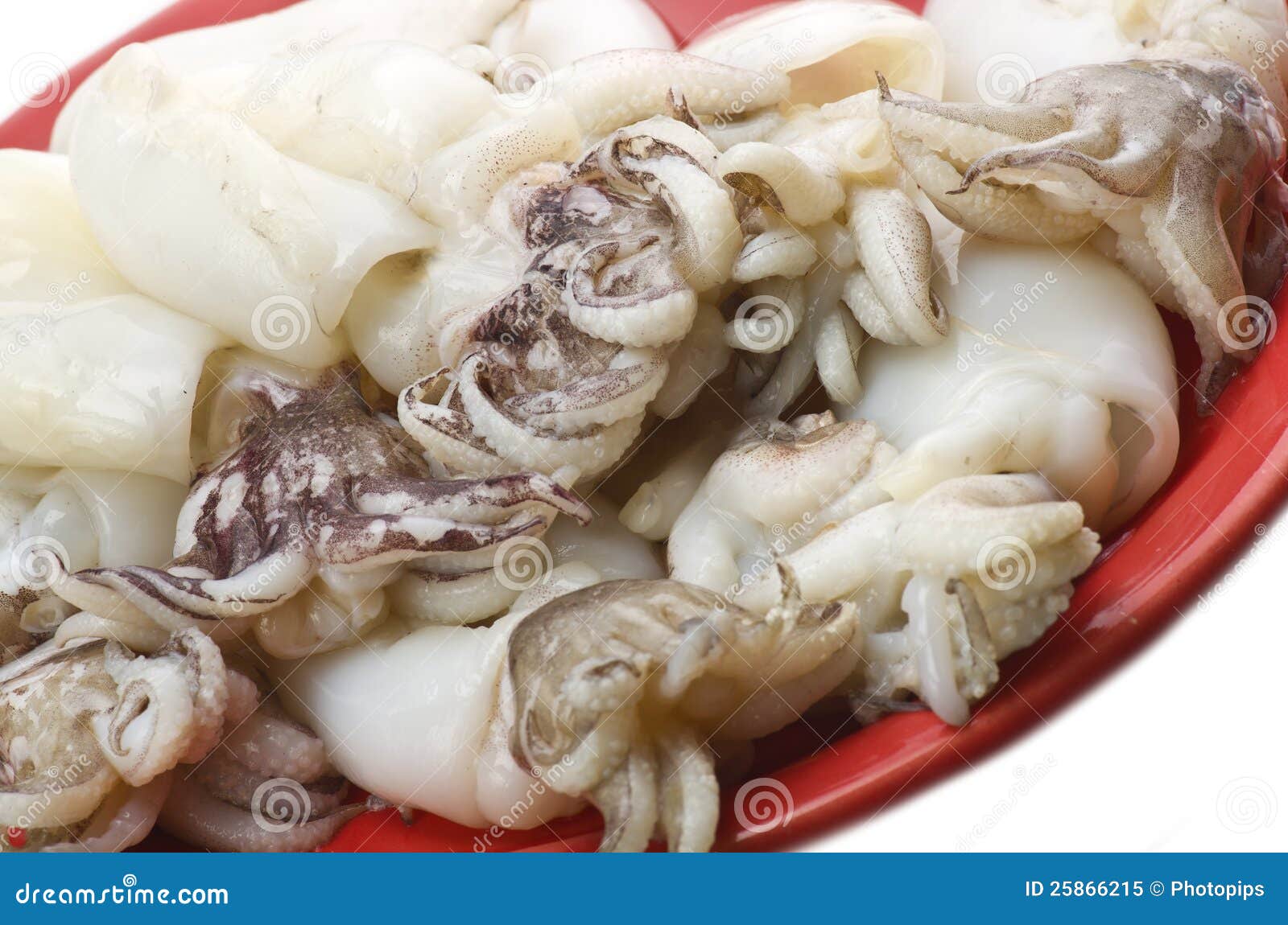 Cuttlefish stock image. Image of fragrance, fresh, dish - 25866215