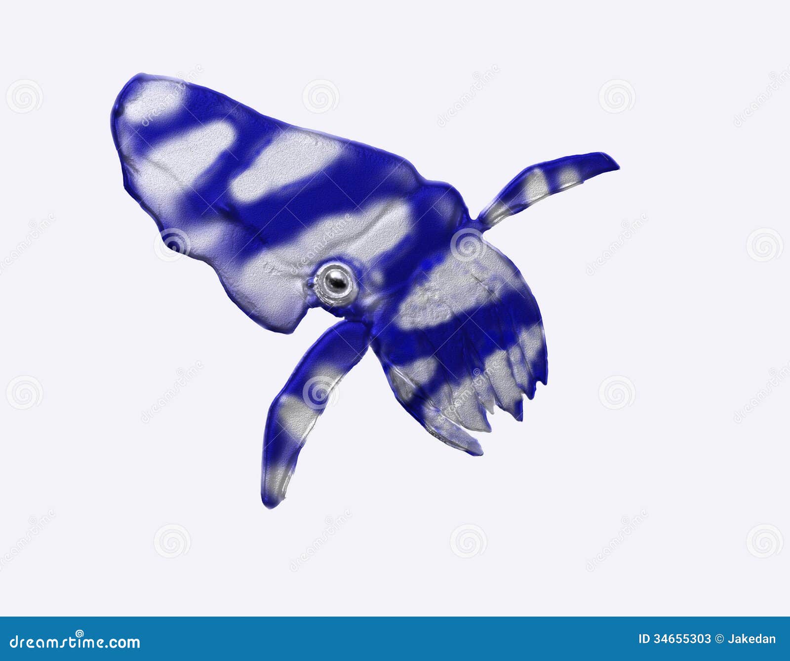 Cuttlefish stock image. Image of animal, predator, marine - 34655303