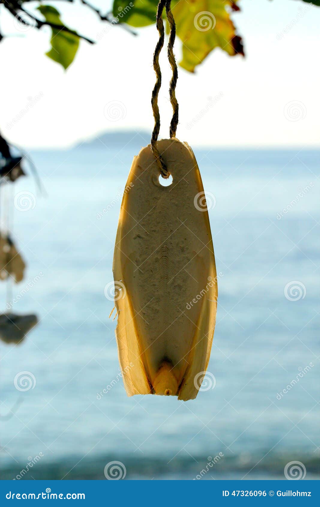 Cuttlefish bone pendant stock photo. Image of decoration - 47326096
