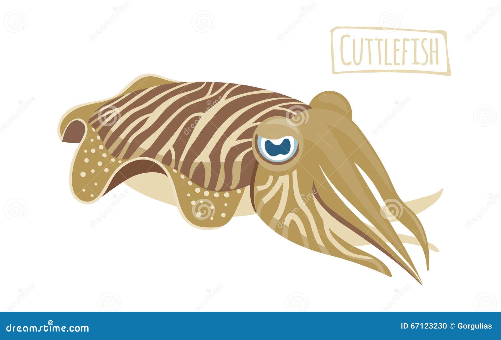 Cuttlefish Cartoons, Illustrations & Vector Stock Images - 3741 ...
