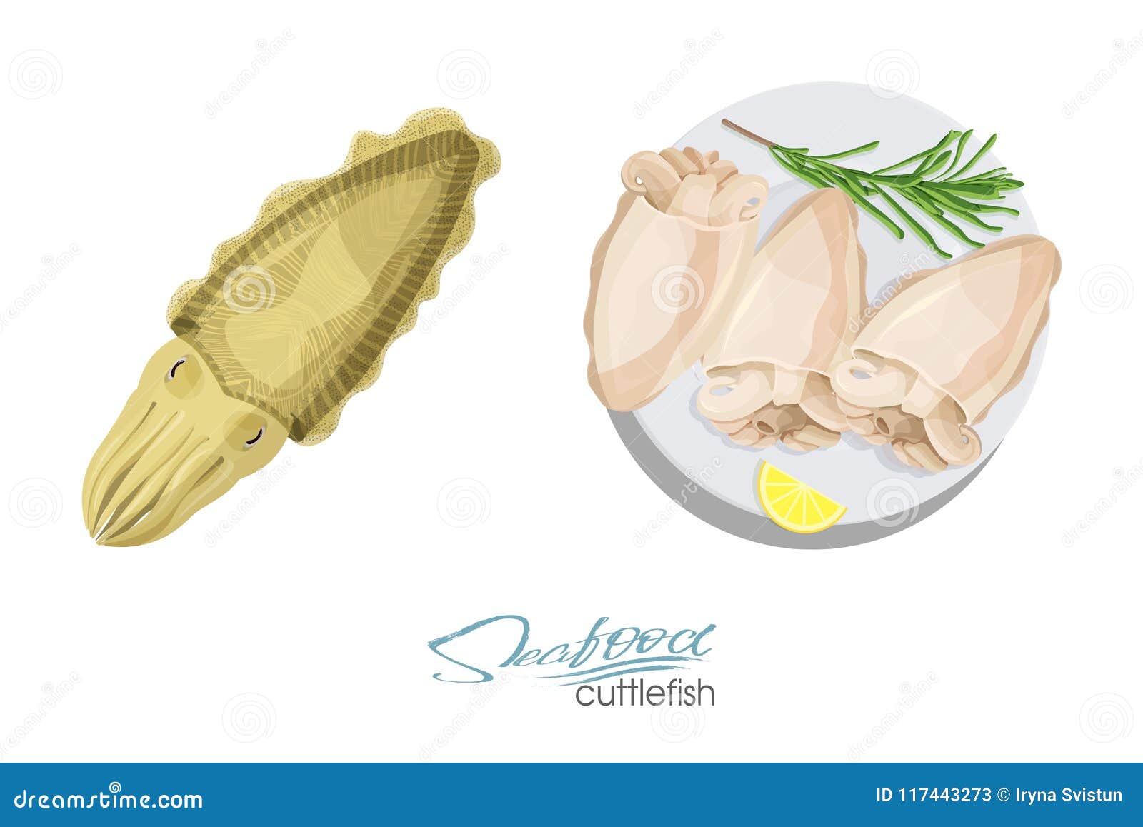 Cuttlefish Seafood Isolated Sketch. Illustration of a Dish of ...
