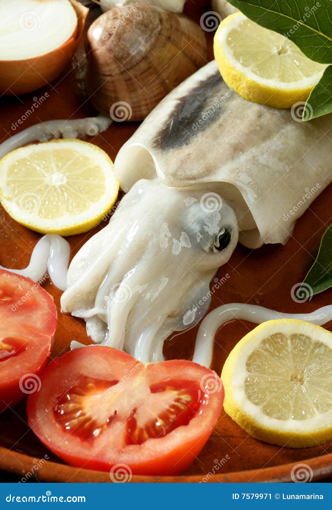 Cuttlefish Uncooked, Squid Mediterranean Seafood Stock Image - Image of ...