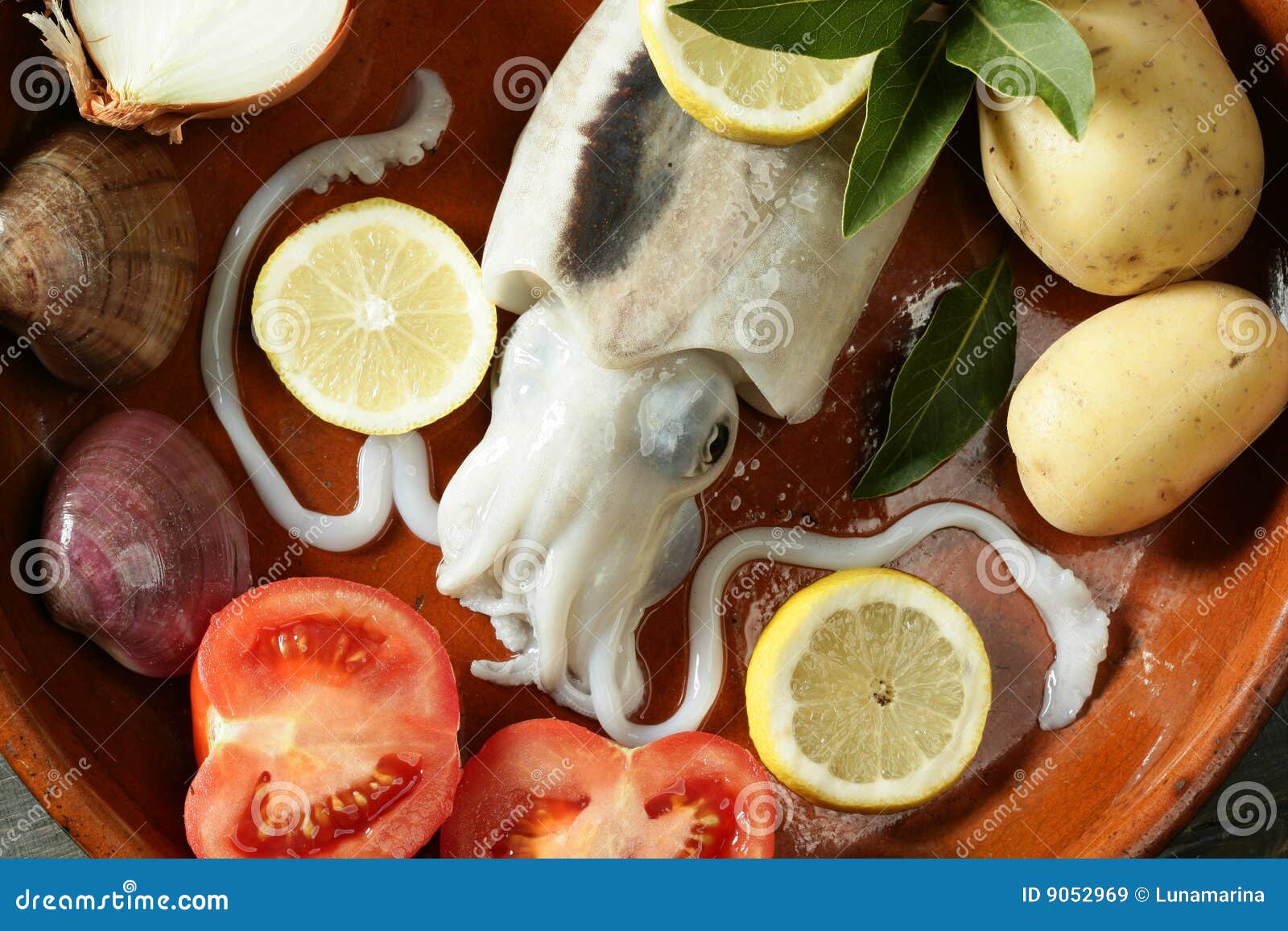 Cuttlefish Uncooked, Squid Mediterranean Seafood Stock Image - Image of ...