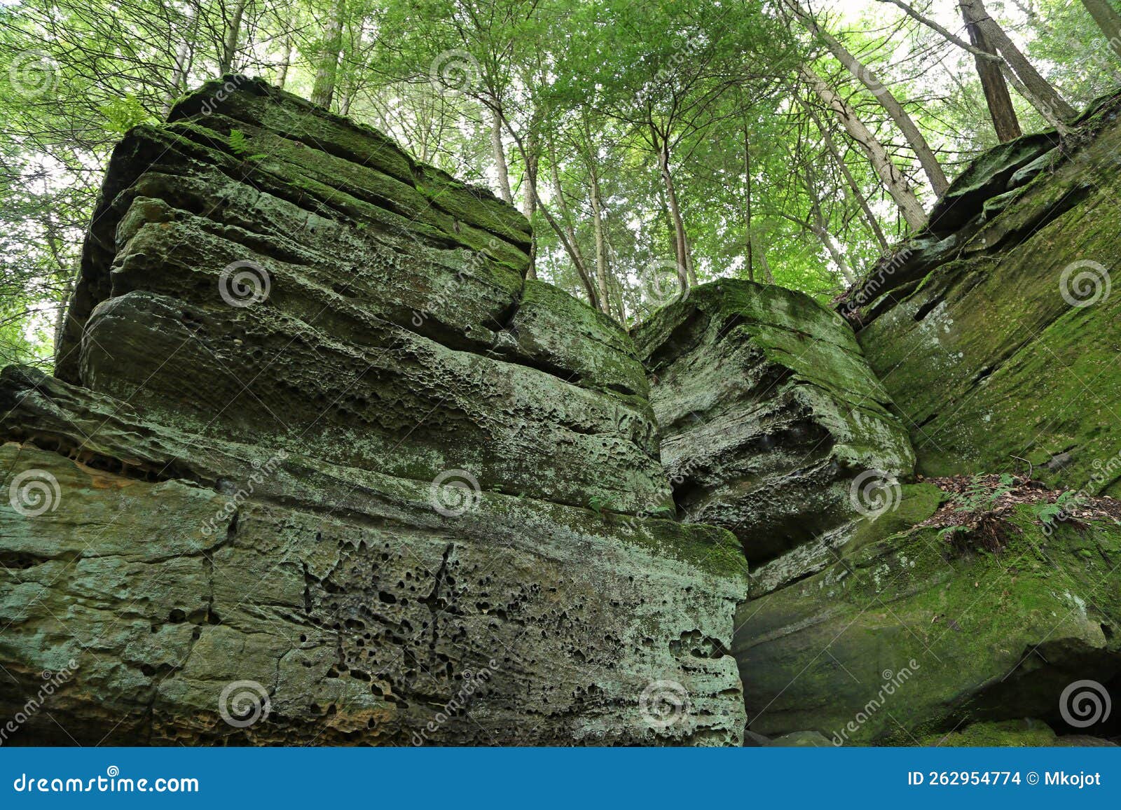 Impressive Sandstone Formations Stock Photo - Image of colors, fern ...