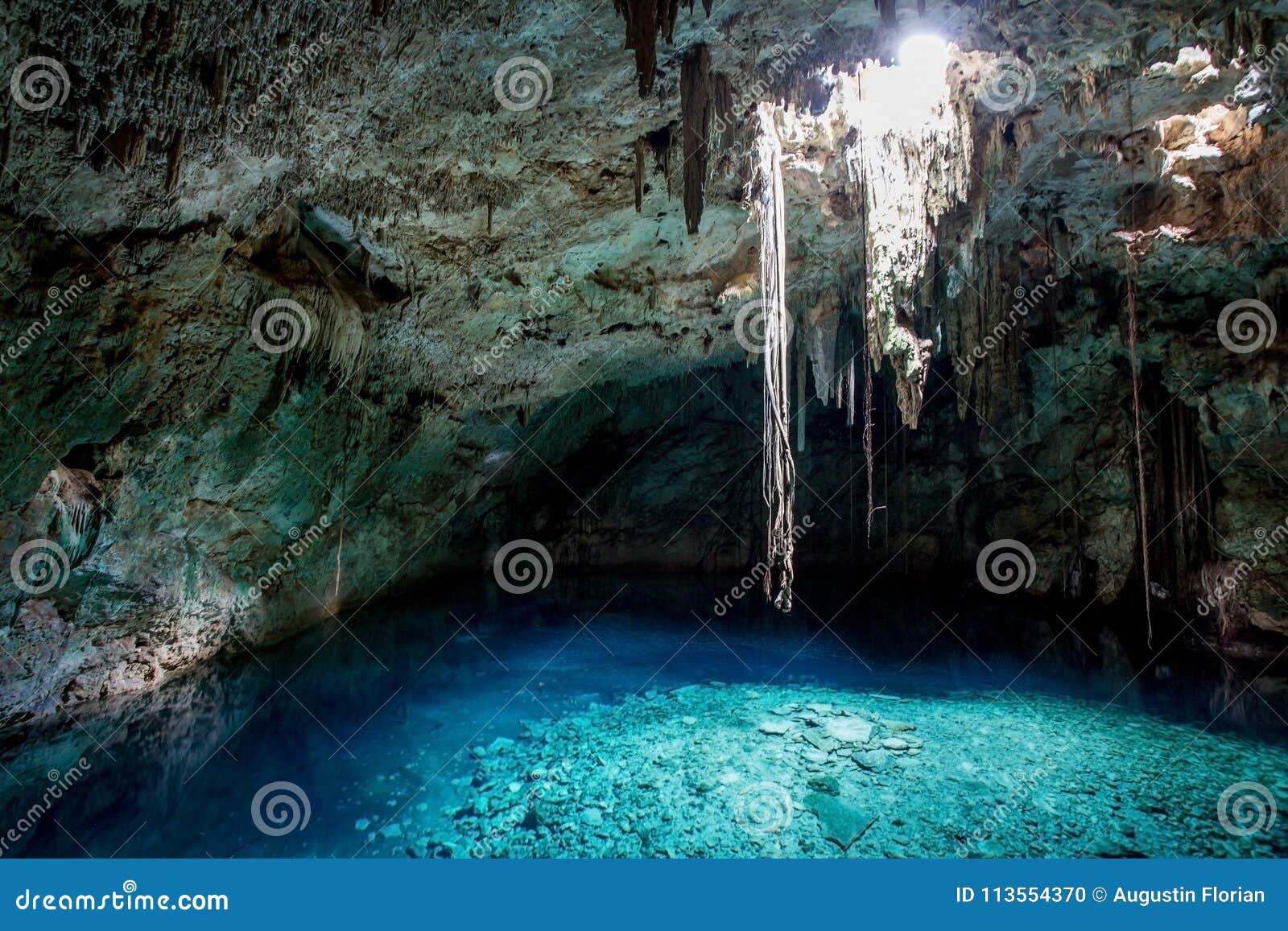 Cuzama Cenote, Yucatan, Mexico Stock Photo - Image of mexico, nature ...