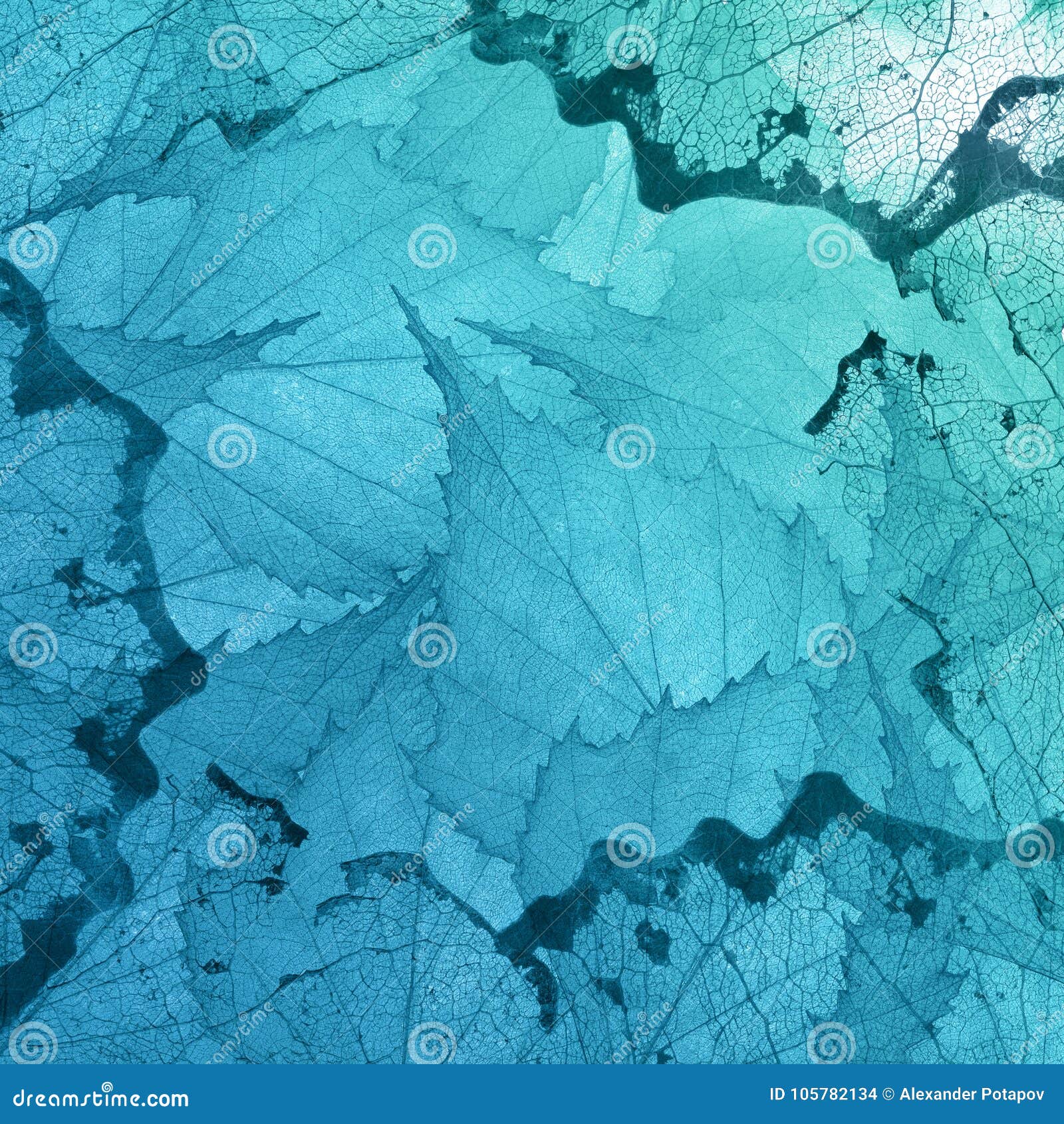 Cyan Background From Transparent Leaves Royalty-Free Stock Image ...