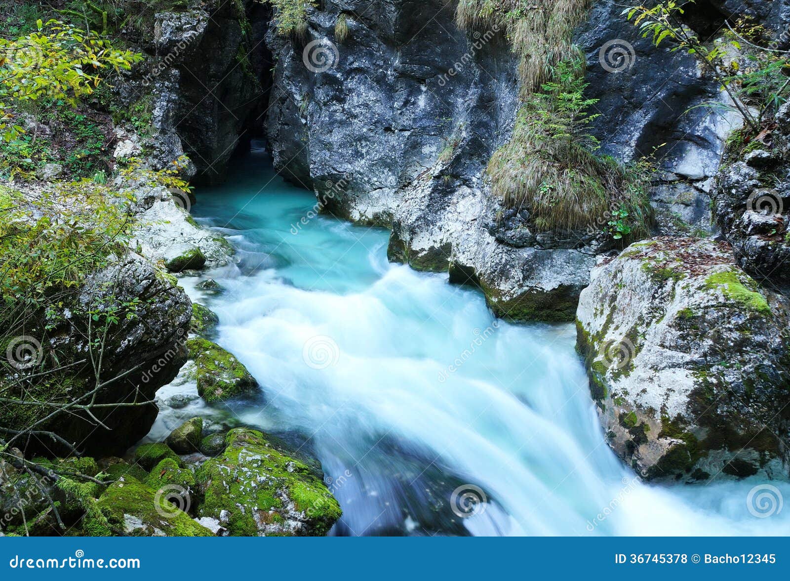 Cyan river in autumn stock photo. Image of frozen, plants - 36745378