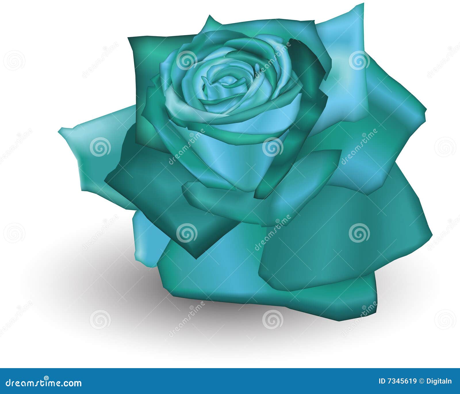 Cyan Rose stock vector. Illustration of botanic, spring - 7345619