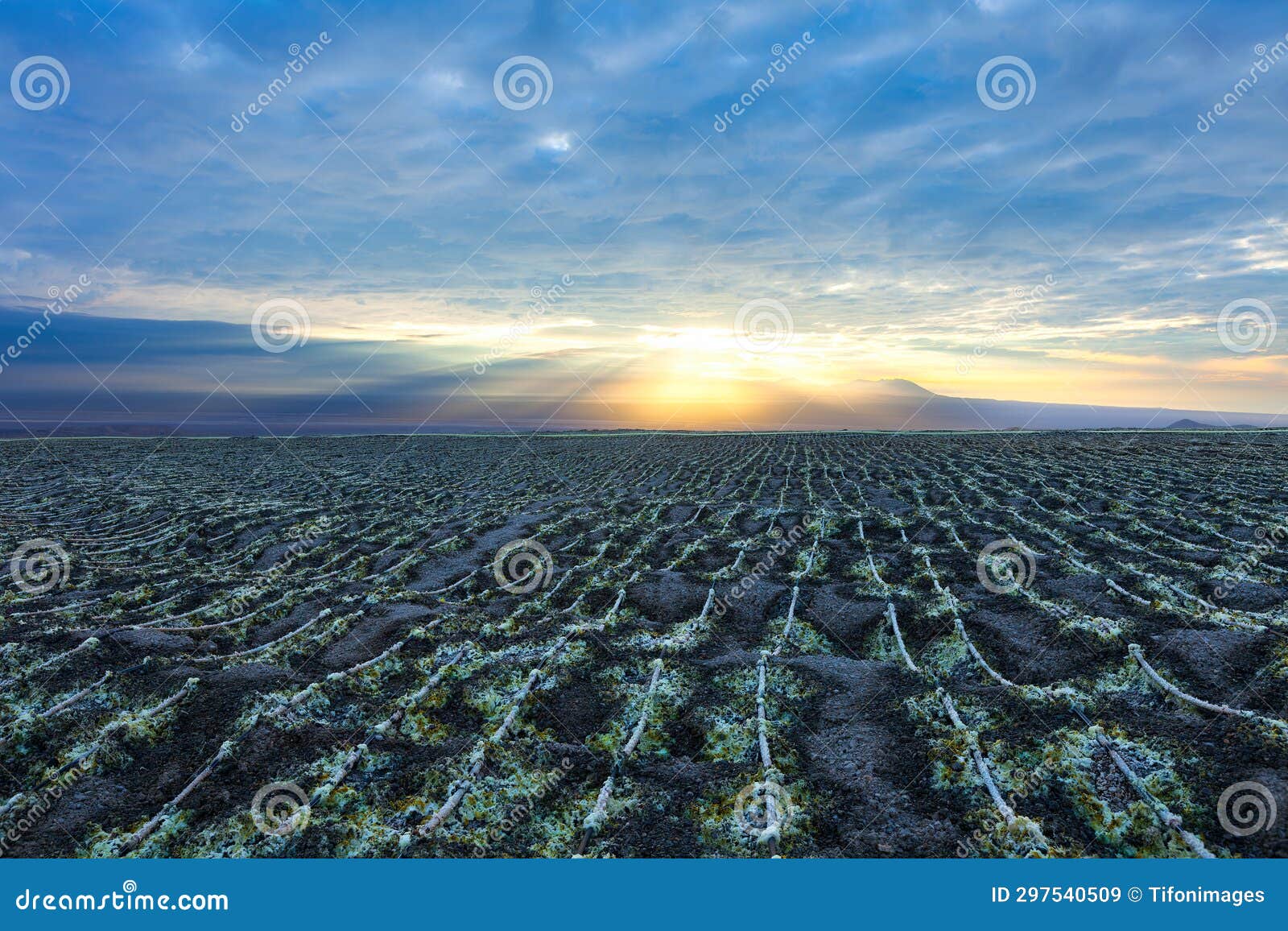 Cyanide leaching field stock image. Image of sunset - 297540509