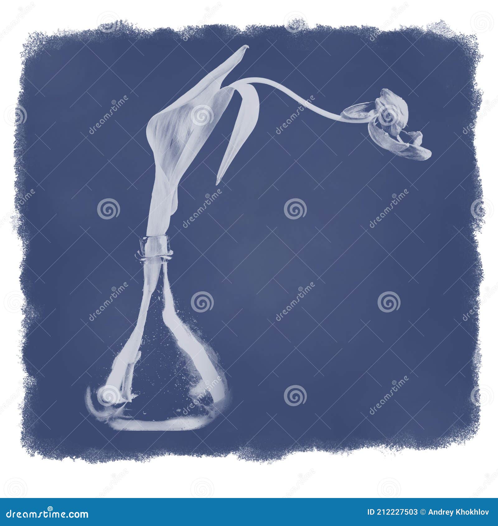 Cyanotyping Process. Imitation Stock Image - Image of natural, isolated ...