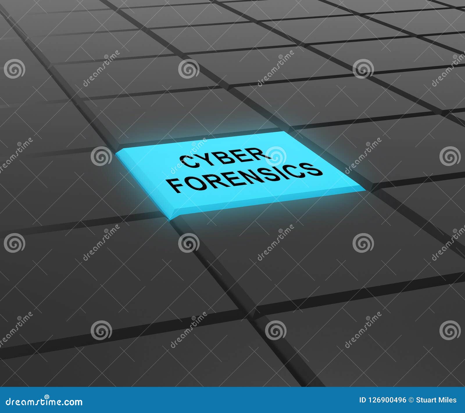 Analysis Crime Scene Judicial Measuring Ruler, Vector Set Ruler Lines ...