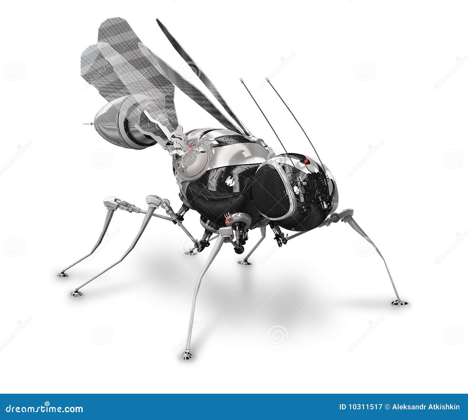 Mosquito Front Stock Illustrations – 96 Mosquito Front Stock ...