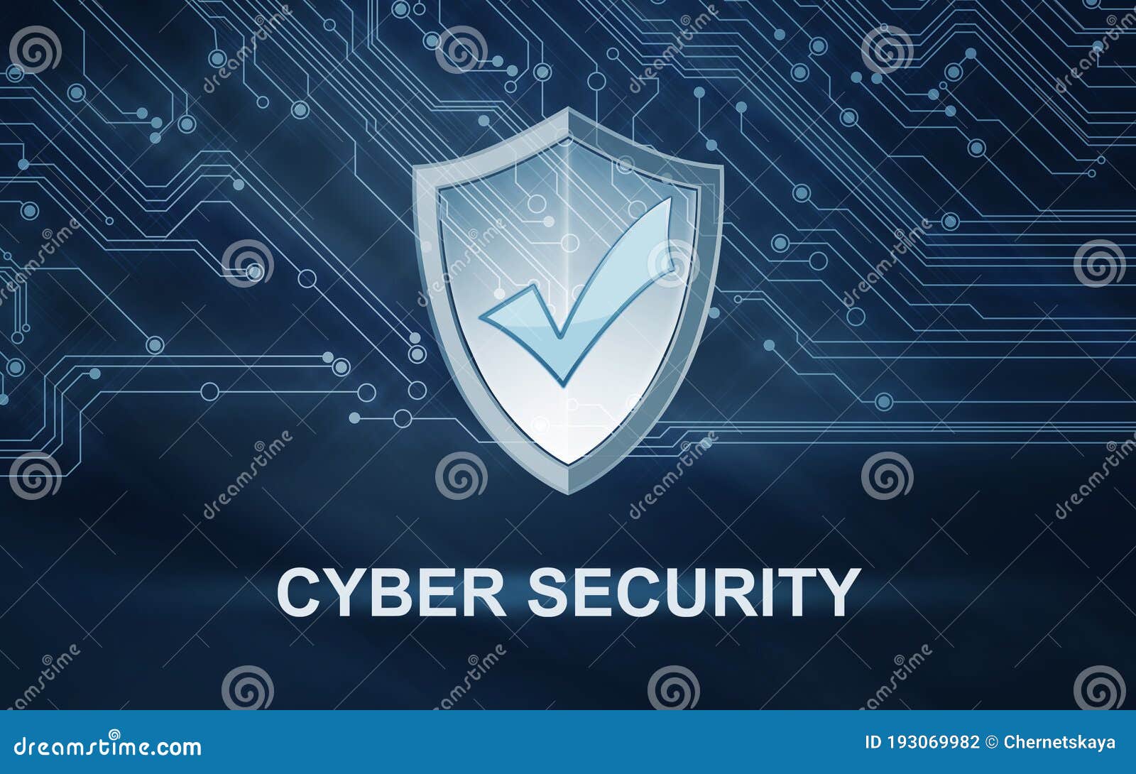 Cyber Security. Shield with Check Mark Illustration and Text Against ...