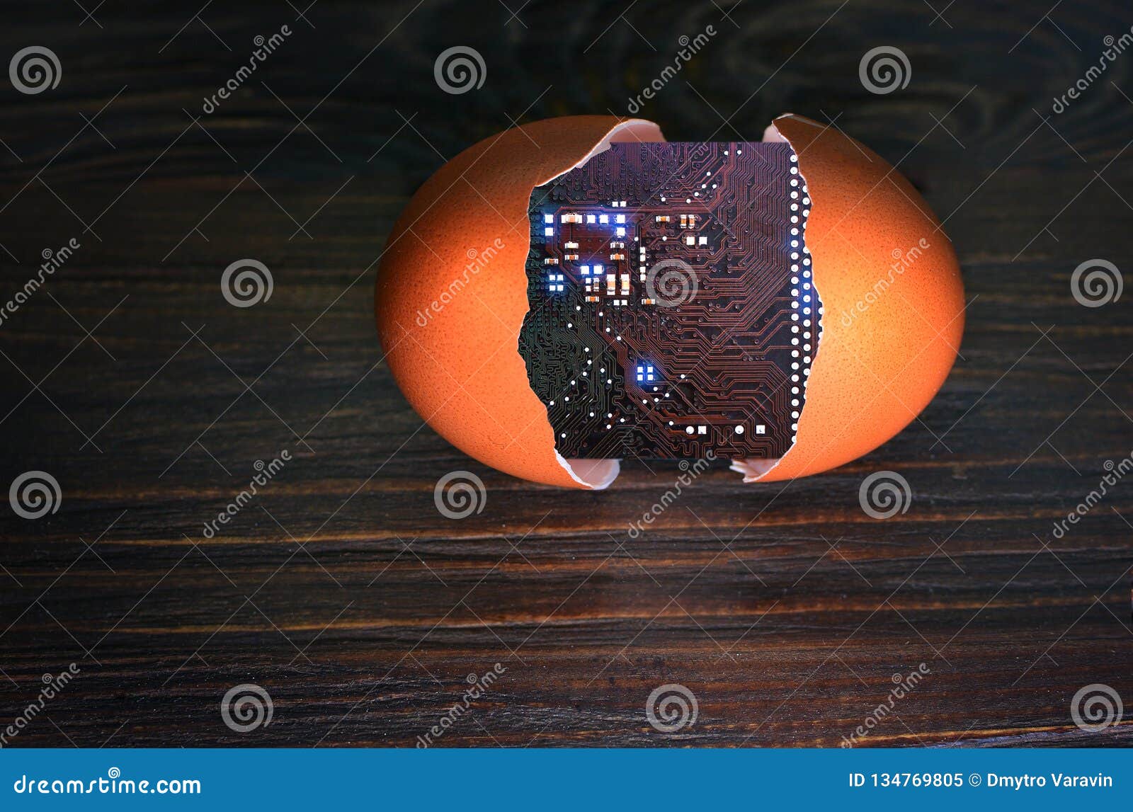 Egg Shell with a Microchip Inside Stock Image - Image of electric ...