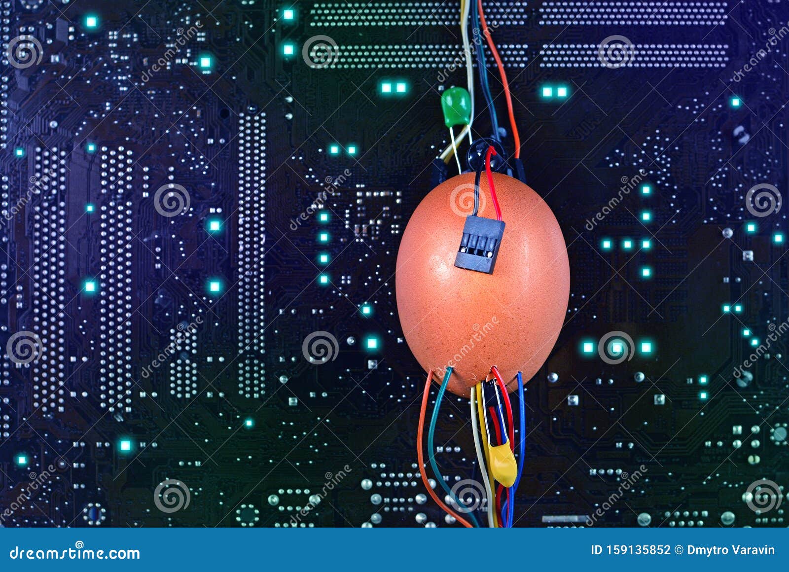 Cyber Technology Concept. Egg with Wires Inside on a Microchip ...
