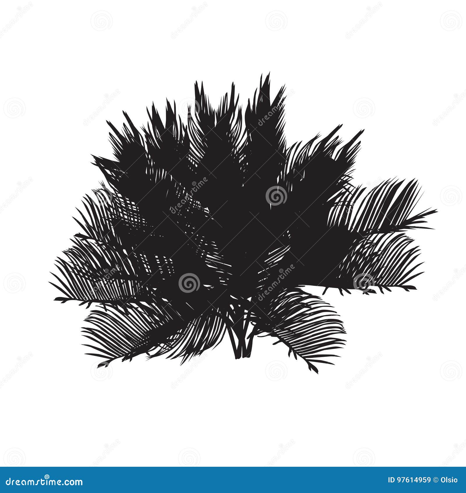 Cycas Plant Dinosaur Ancient Vector Illustration Transparent Background ...