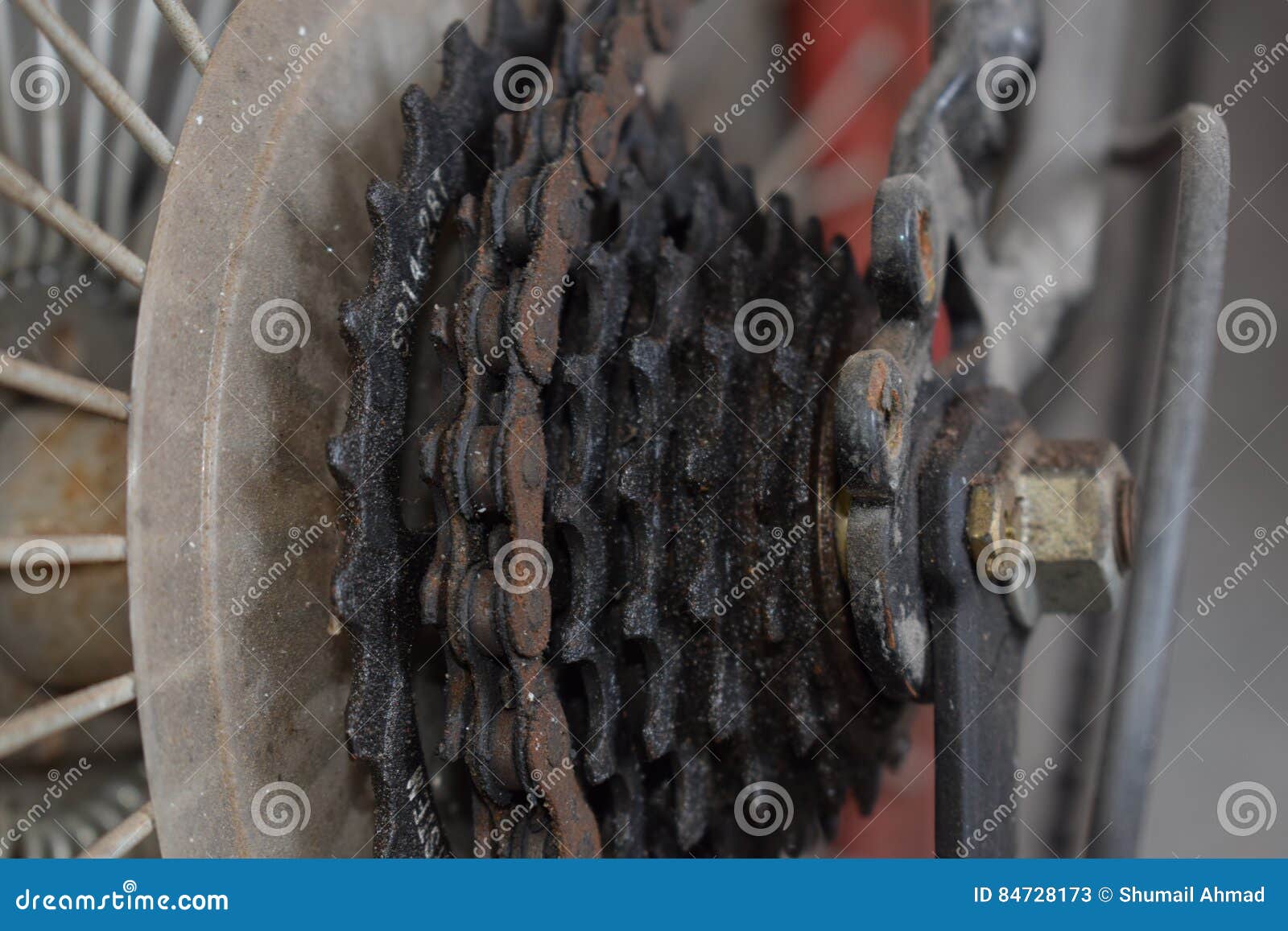 Cycle cassette and chain stock image. Image of chain - 84728173