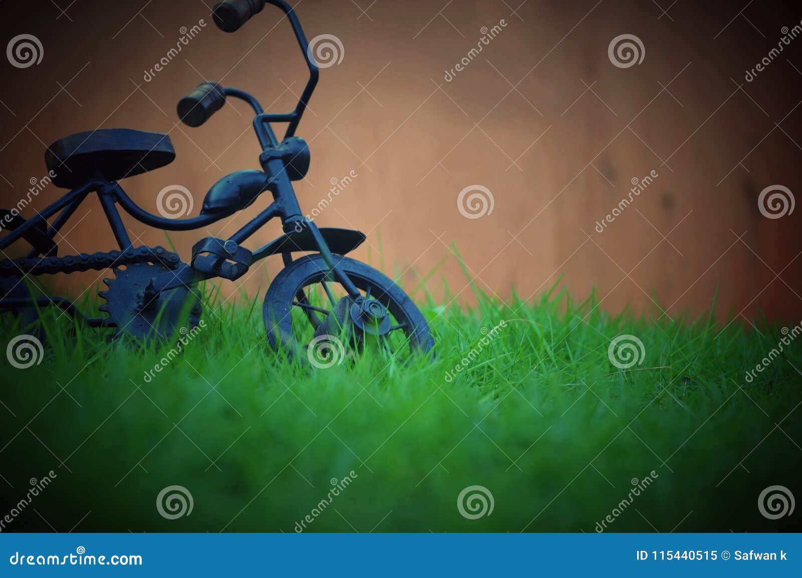 Black cycle stock image. Image of green, nature, cycle - 115440515