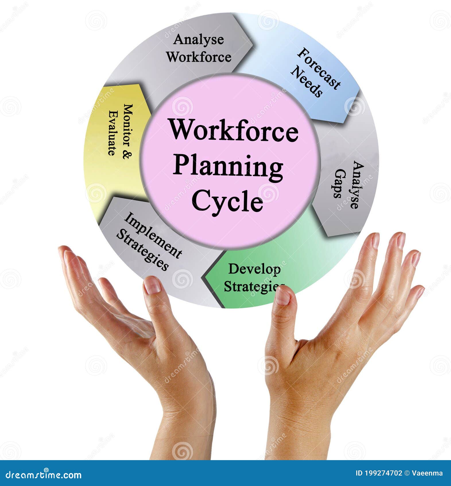 Cycle De Planification Des Effectifs Photo stock - Image du humain ...