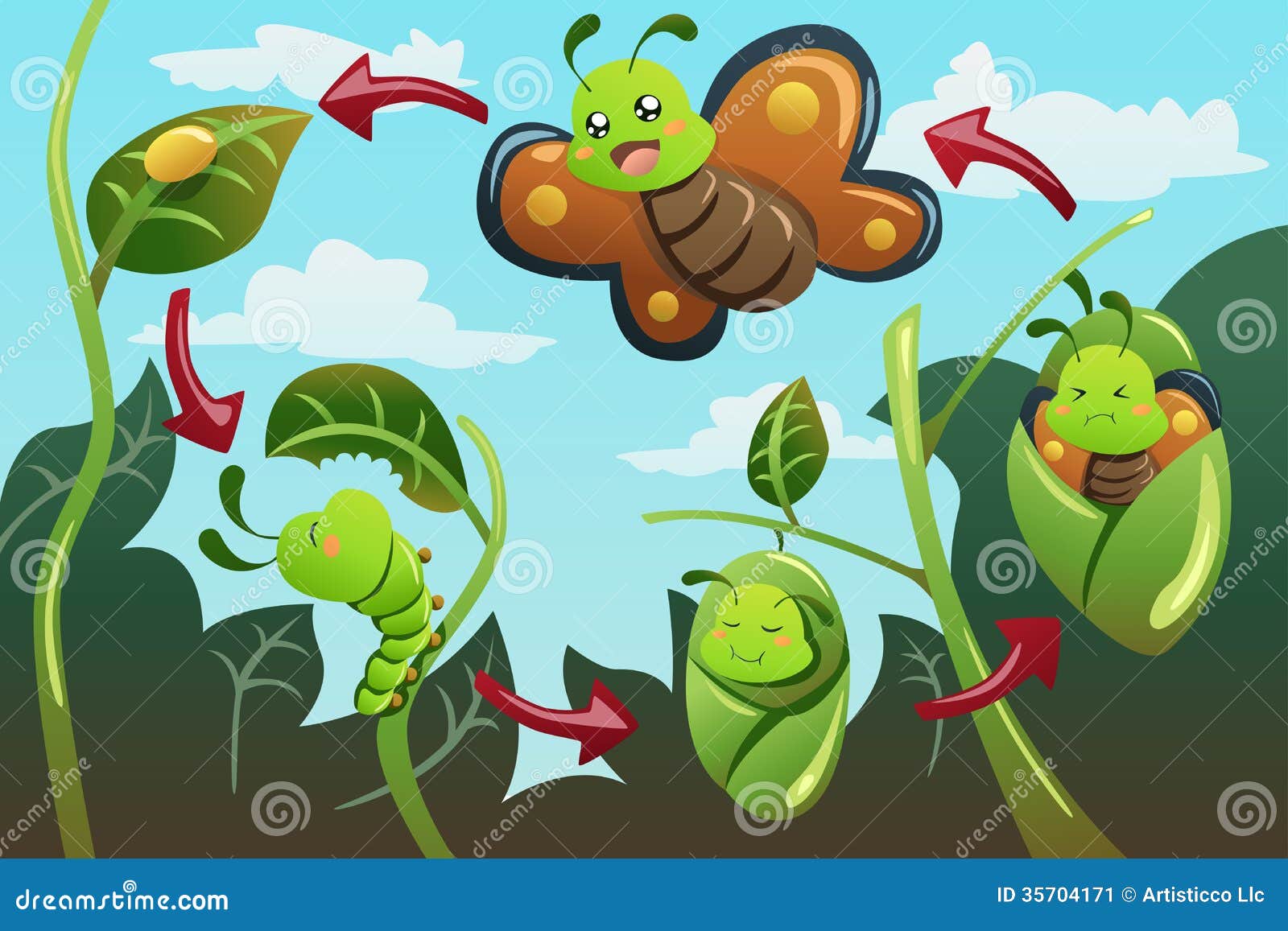 Cycle de vie du papillon illustration de vecteur. Illustration du ...