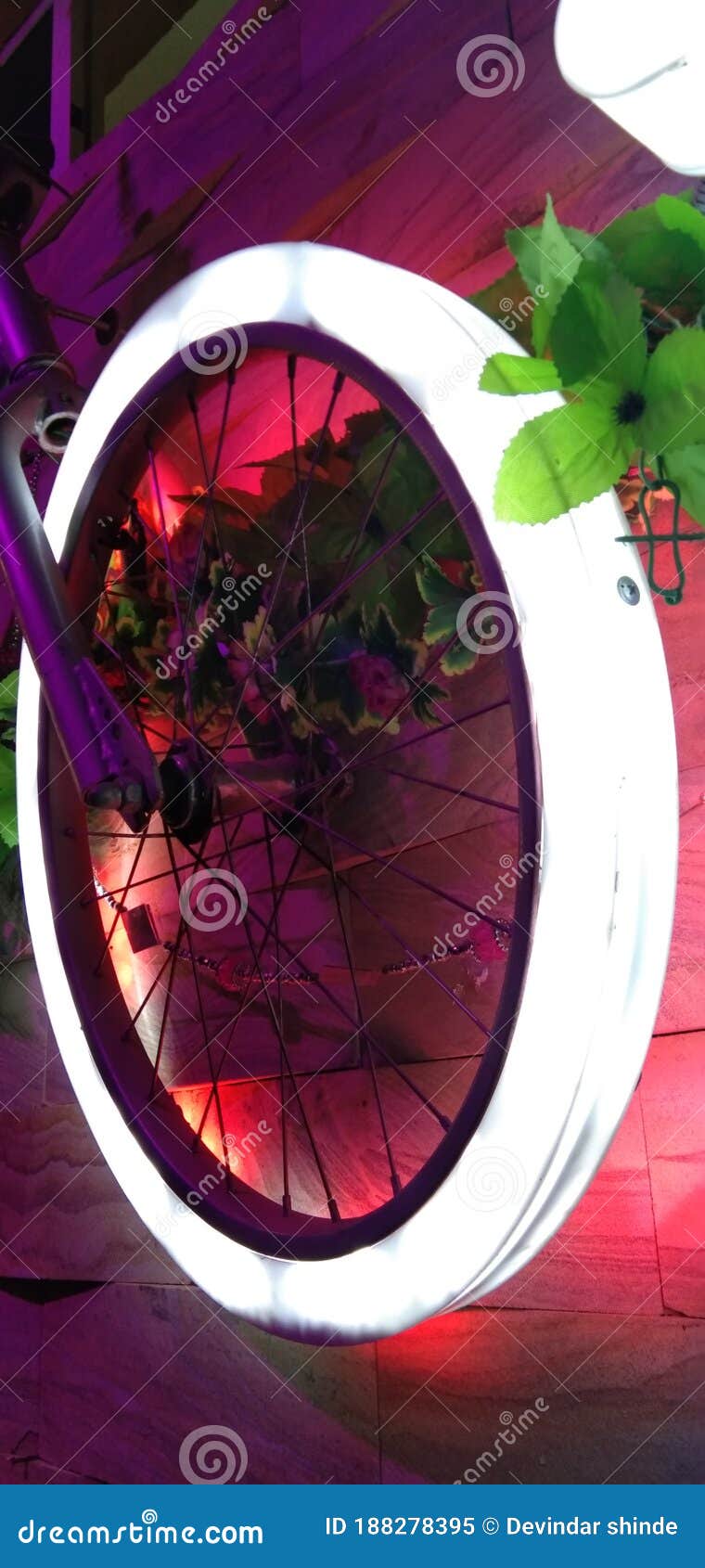 Cycle Design Led Light Pink Red Stock Illustration - Illustration of ...