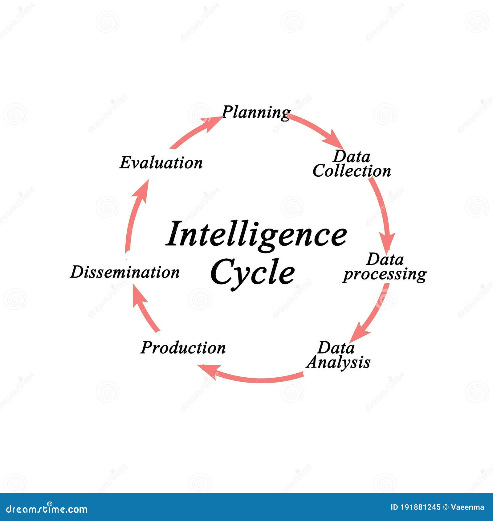 Cycle du renseignement image stock. Image du information - 191881245