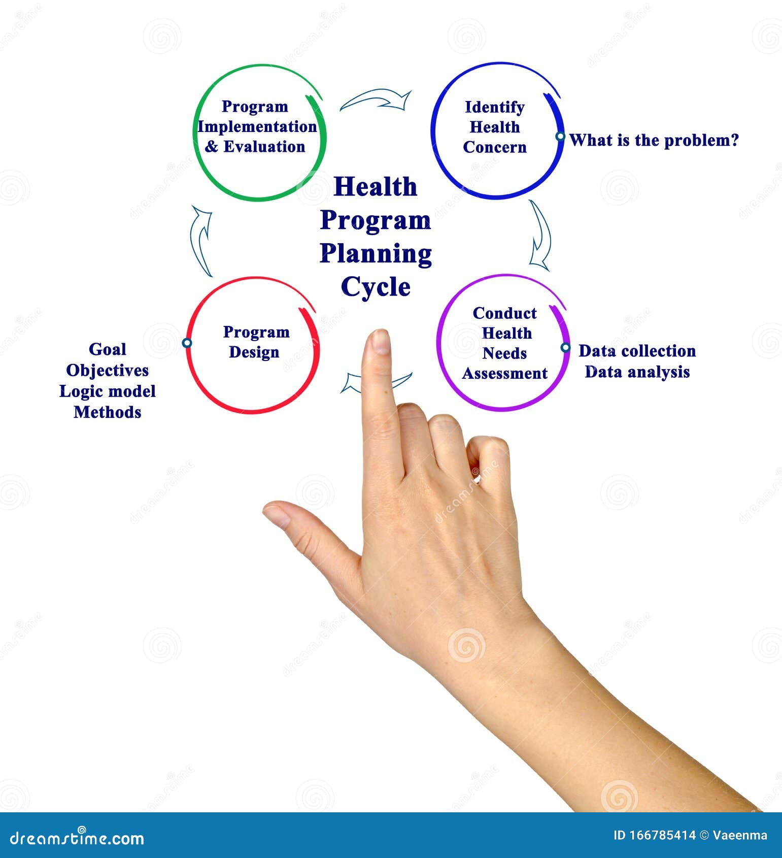 Health Program Planning stock photo. Image of female - 166785414