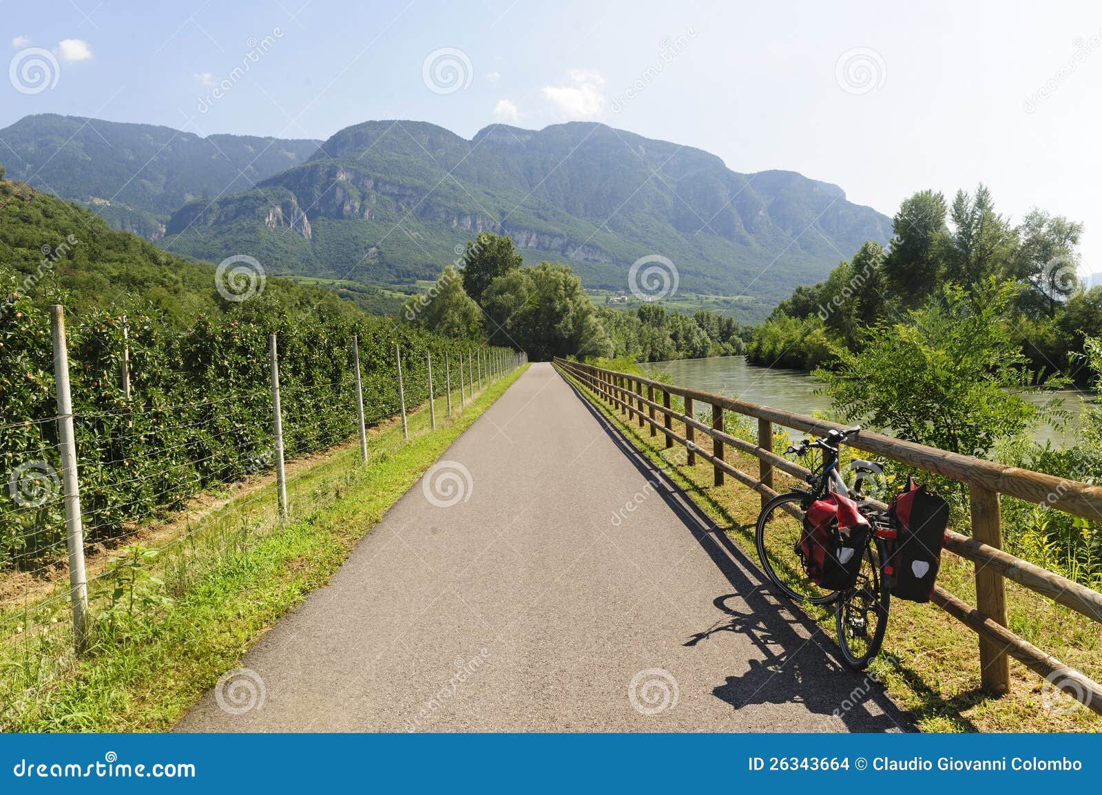Cycle Lane of the Adige Valley Stock Photo - Image of plant, trentino ...