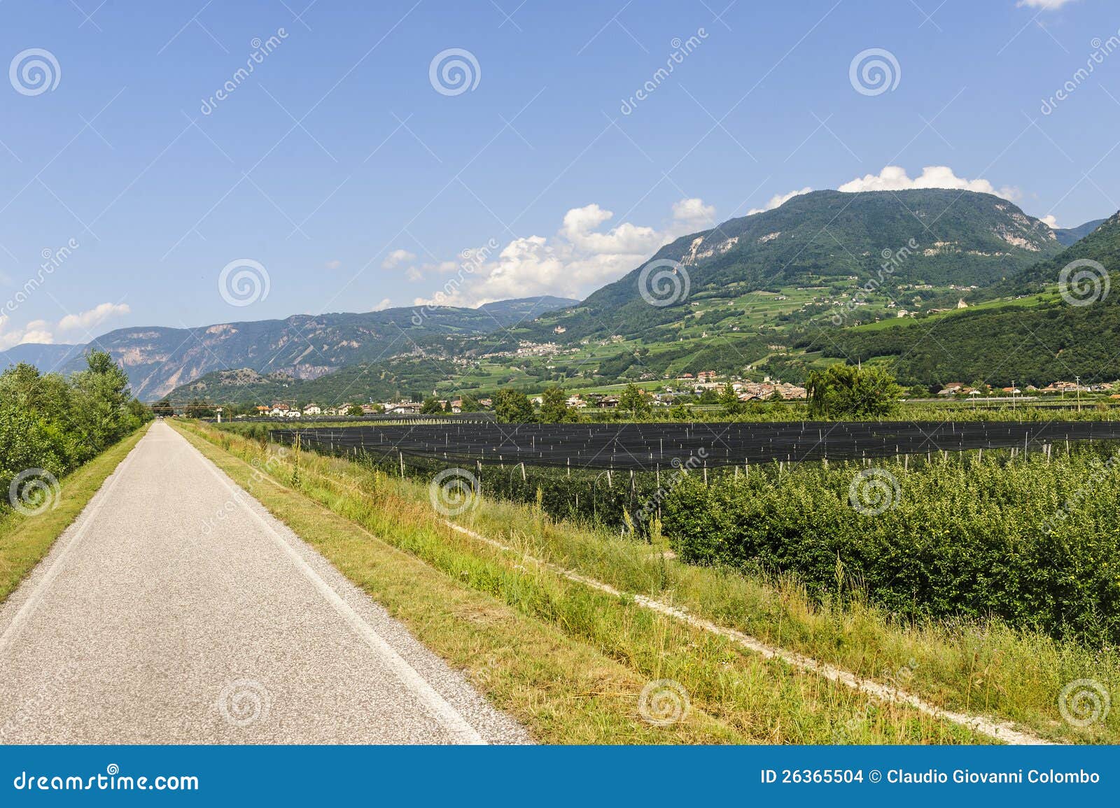 Cycle Lane of the Adige Valley Stock Photo - Image of cycle, straight ...
