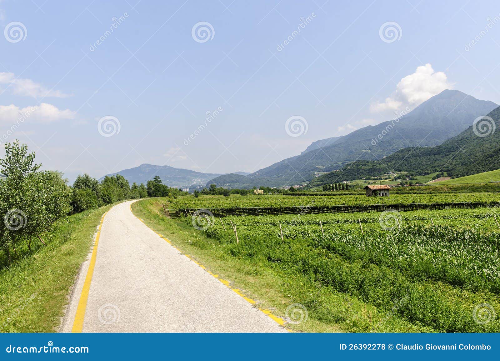 Cycle Lane of the Adige Valley Stock Photo - Image of italian, road ...