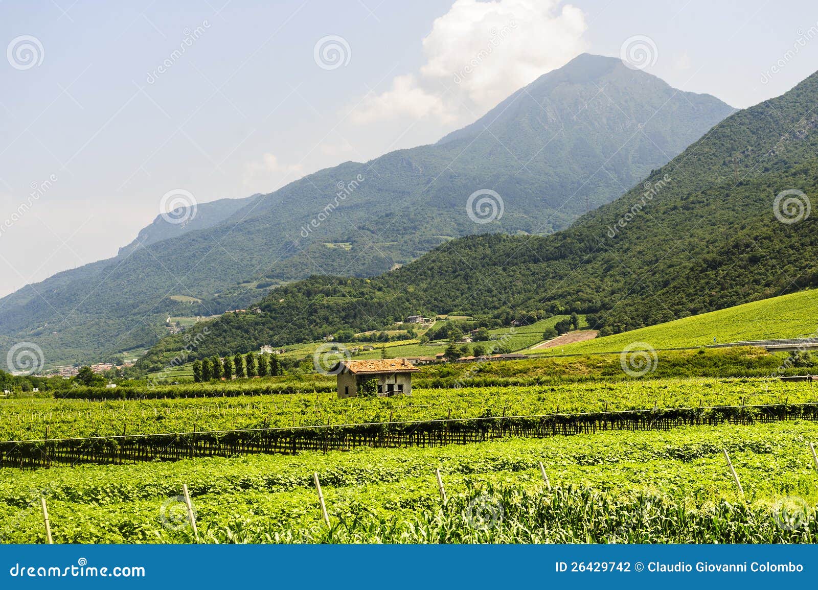 Cycle Lane of the Adige Valley Stock Photo - Image of green, color ...