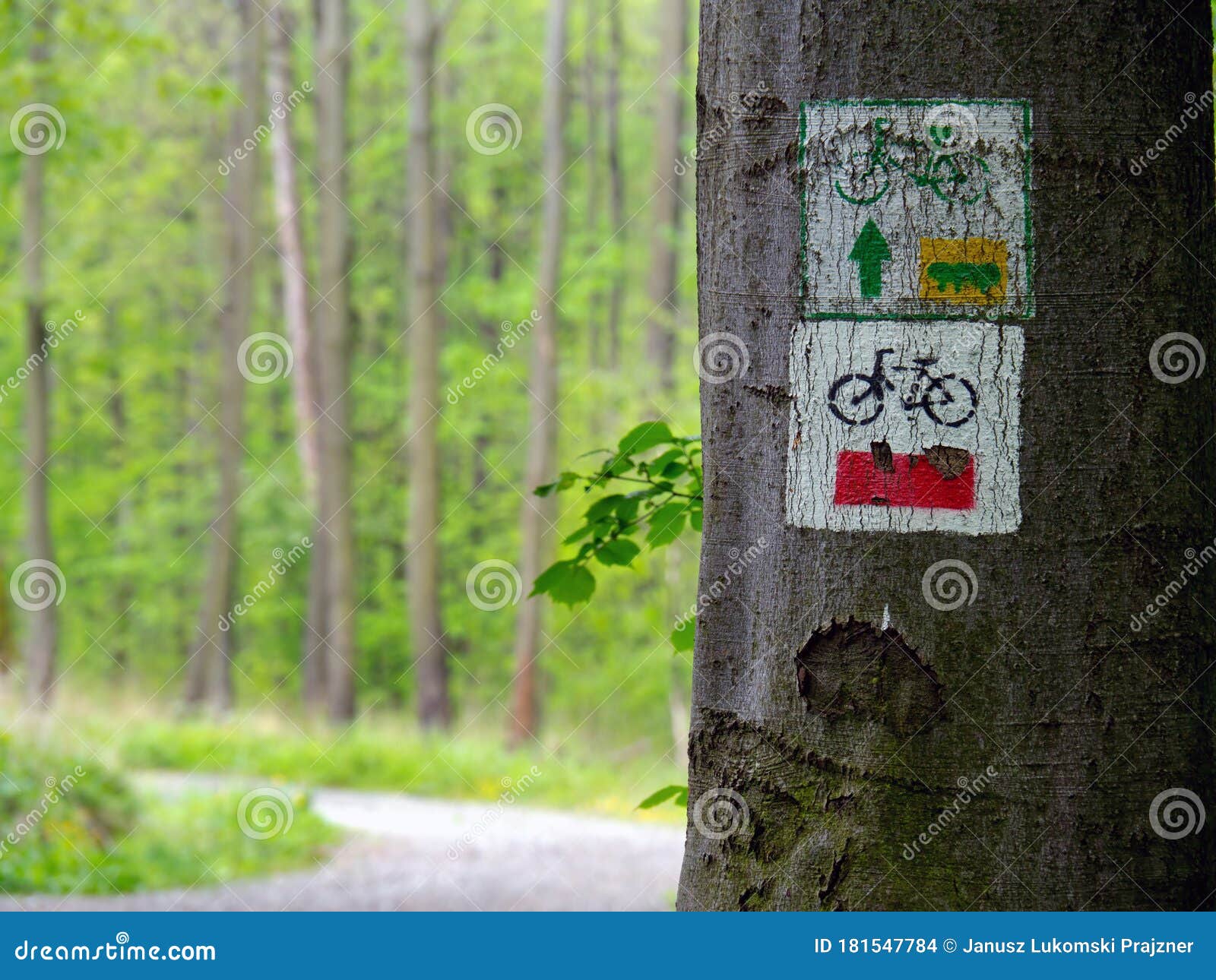 Cycle Lane, Bike Path, Pictogram Stock Photo - Image of trip, pictogram ...