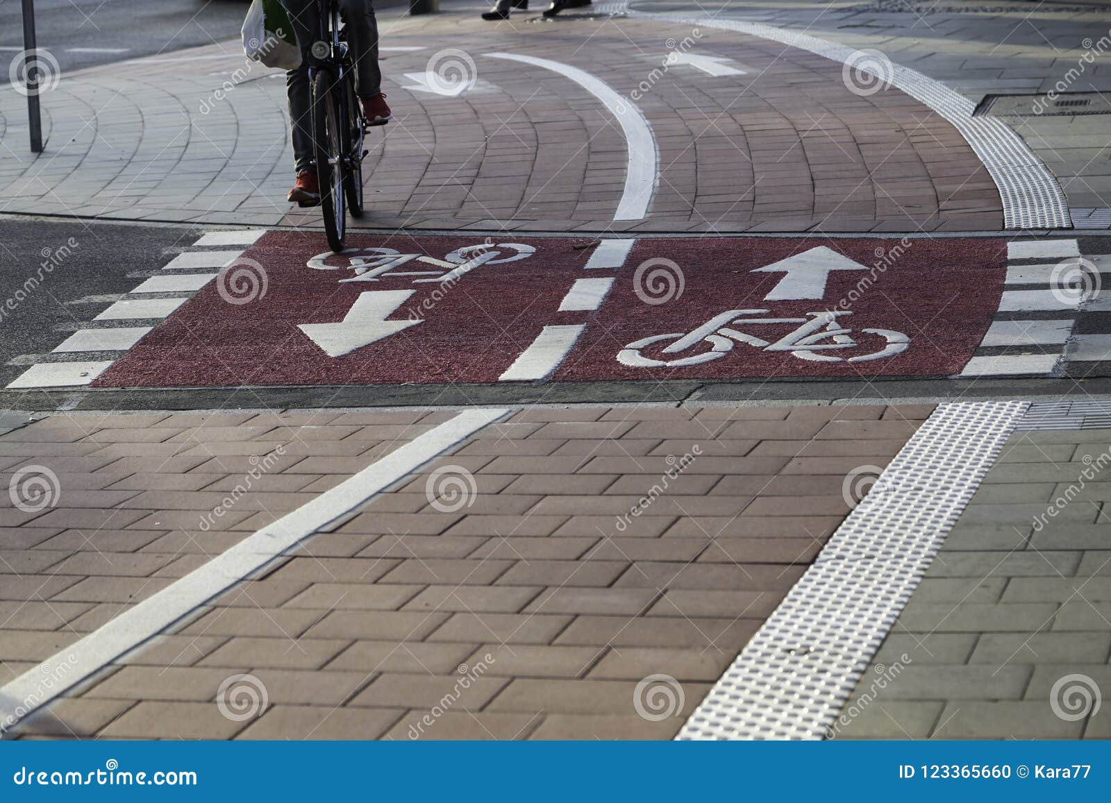 Cycle_lane stock photo. Image of green, lane, bicycle - 123365660