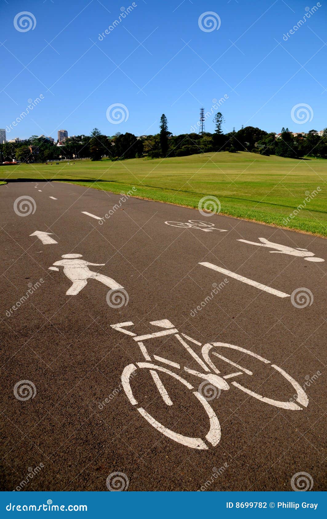 Cycle Path stock photo. Image of transport, green, symbol - 8699782