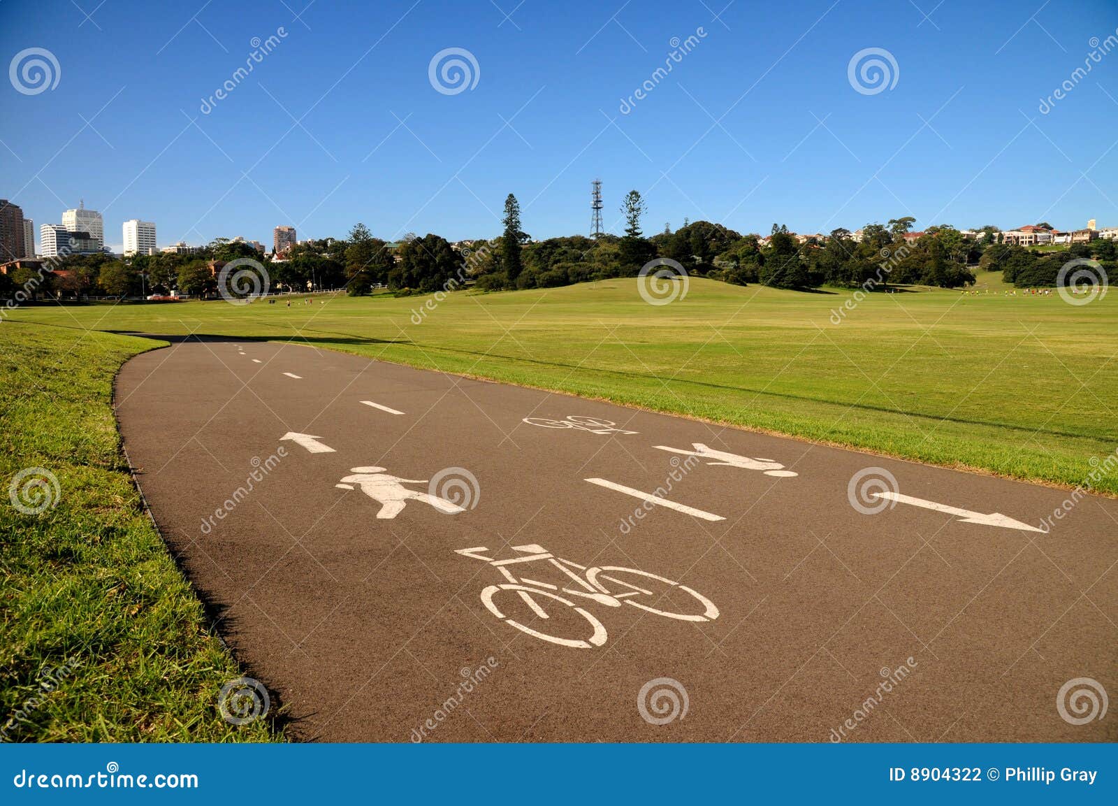 Cycle Path stock photo. Image of pavement, shared, bicycle - 8904322