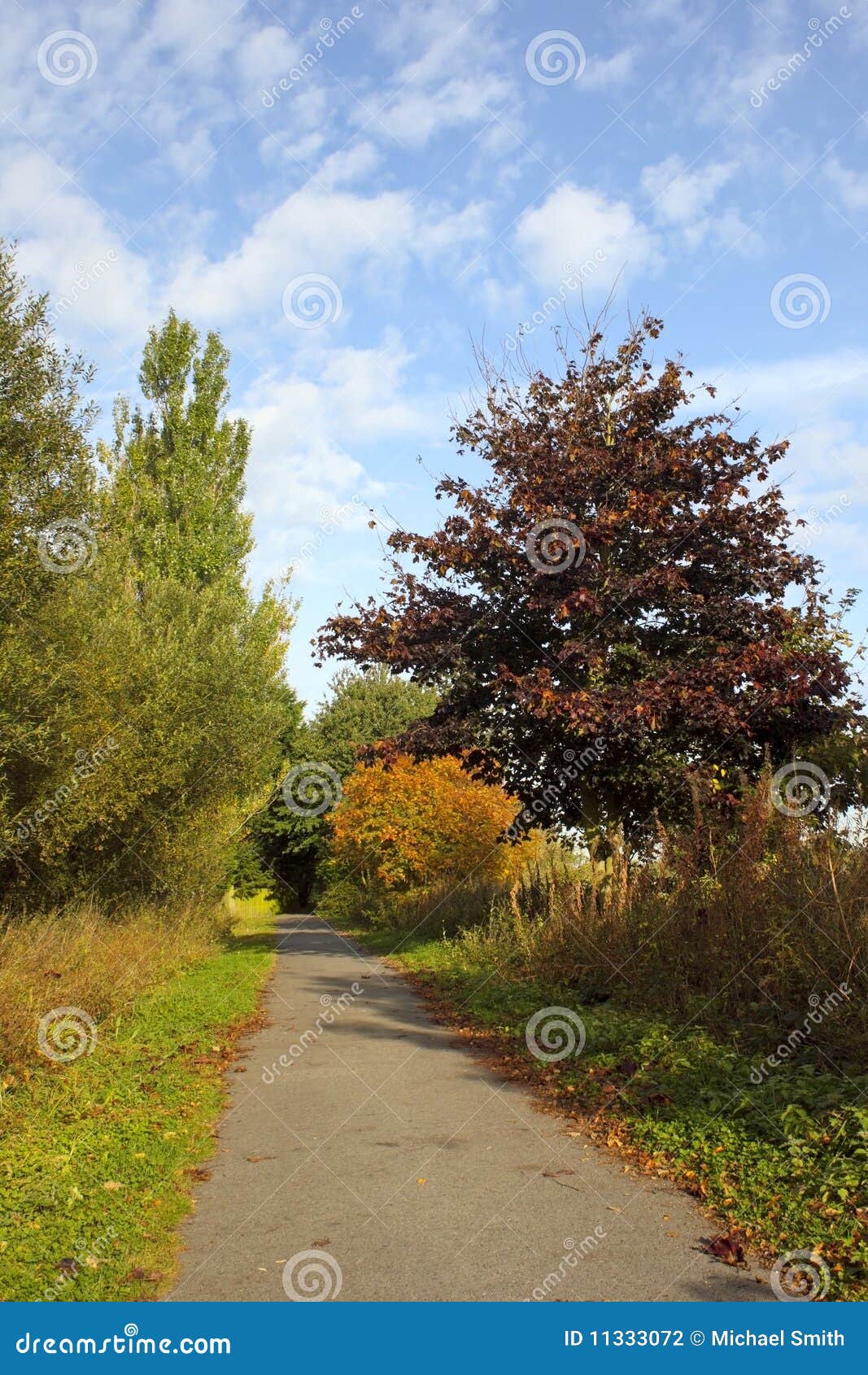 Cycle path in autumn stock photo. Image of scenery, cycle - 11333072